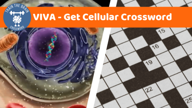 VIVA- Cell Crossword - The Force for Health® Network